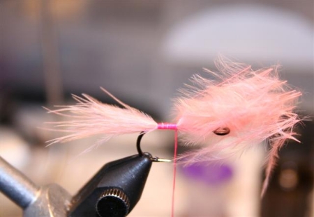 Krill Fly - The Fishing Website : Discussion Forums