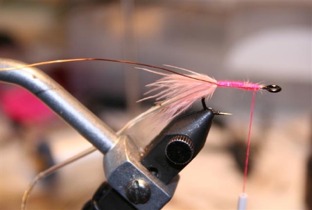 Krill Fly - The Fishing Website : Discussion Forums