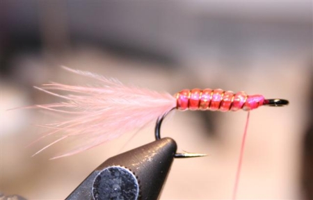 Krill Fly - The Fishing Website : Discussion Forums