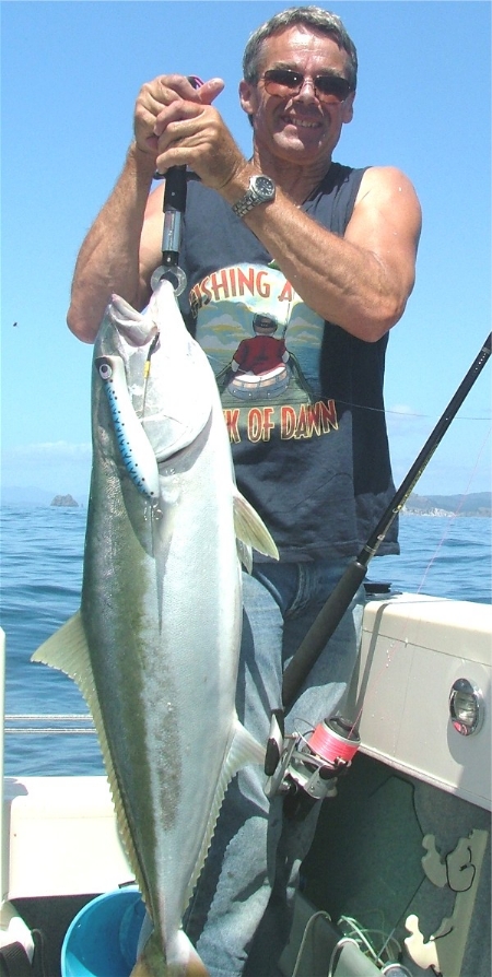 Mitchell Nautil Pro waterproof reel - The Fishing Website : Discussion ...