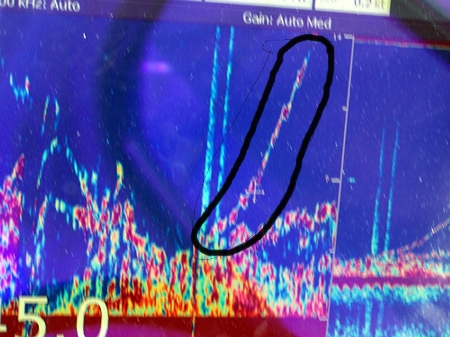 Sounder Screenshots - The Fishing Website : Discussion Forums