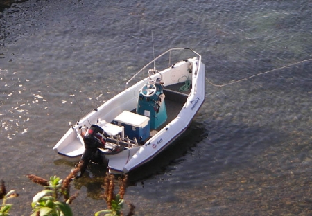 Mac 360 - The Fishing Website : Discussion Forums - Page 1