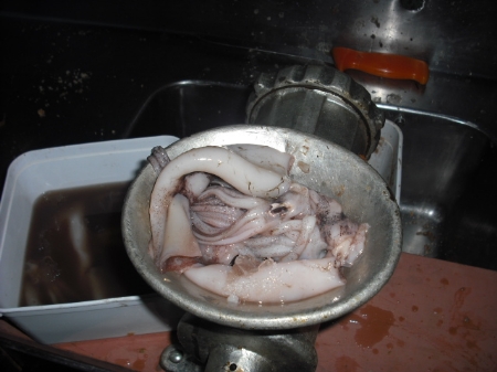 The latest berley brew - The Fishing Website : Discussion Forums