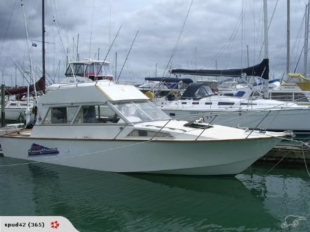 Our launch Progress (jemry & Jane) - The Fishing Website : Discussion ...