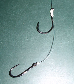 All knotted up. - The Fishing Website : Discussion Forums