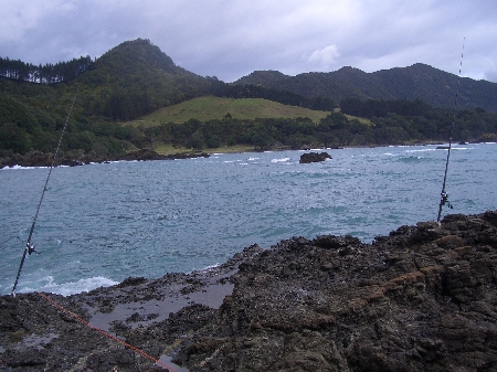 Lottin Point - The Fishing Website : Discussion Forums