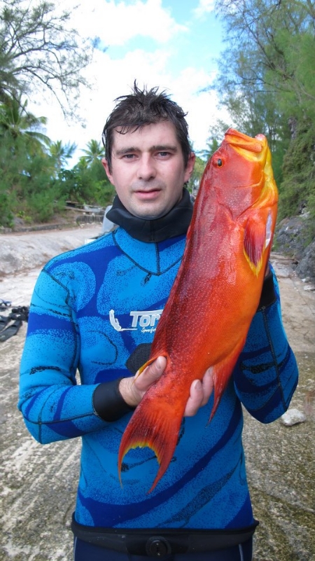 Cook Islands - The Fishing Website : Discussion Forums - Page 1