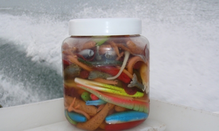 Gulp Storage ideas - The Fishing Website : Discussion Forums