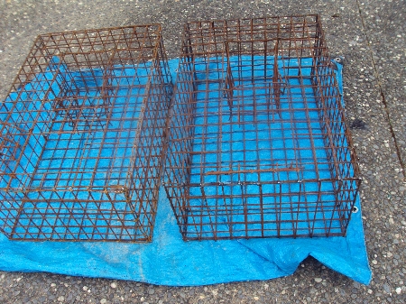 Cray Pot - The Fishing Website : Discussion Forums - Page 1