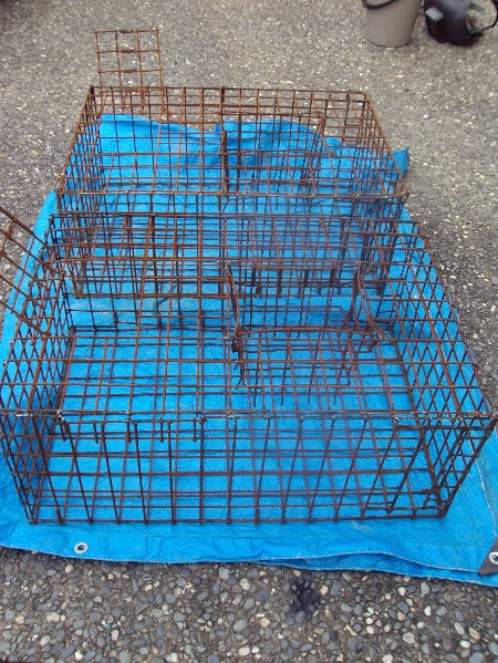 Cray Pot - The Fishing Website : Discussion Forums - Page 1