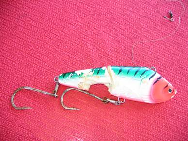 Zest Trolling Blades - The Fishing Website : Discussion Forums