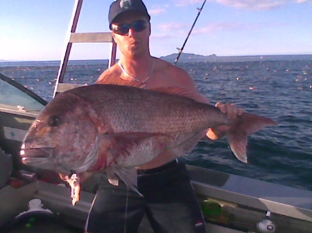 Snapper weight vs length - The Fishing Website : Discussion Forums - Page 1