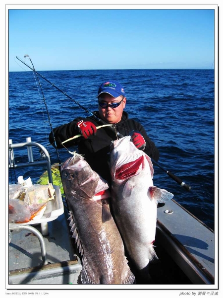 Catching Two HAPUKA on One jigs - The Fishing Website : Discussion ...