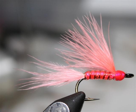 Krill Fly - The Fishing Website : Discussion Forums
