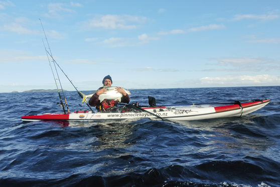 Catching kingfish from kayaks - The Fishing Website