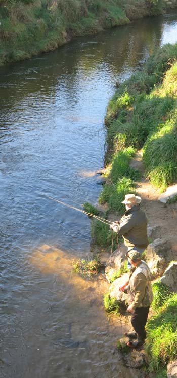 Rotorua trout start spawning runs - The Fishing Website