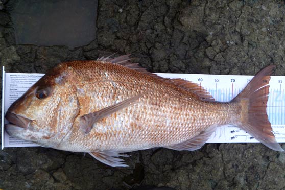 $40,000 in Prizes To Be Won! - The Fishing Website