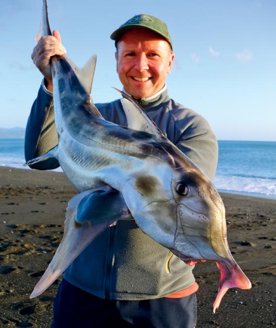Paddle crabs for bait - The Fishing Website