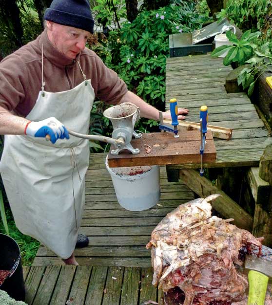 Sense of smell - fish facts - The Fishing Website