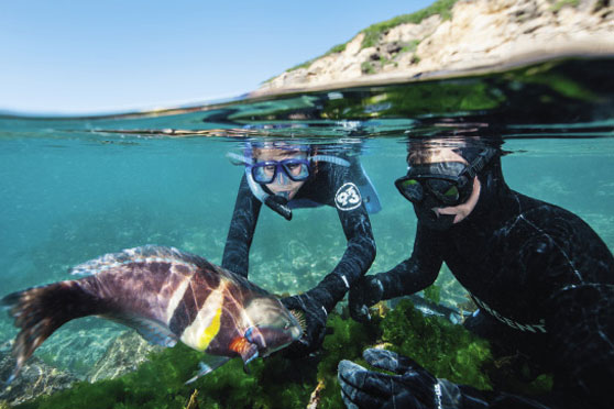 Snorkelling tips for youngsters - The Fishing Website