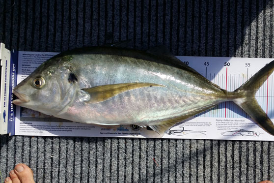 DB Export NZ Fishing Comp February Winner - The Fishing Website