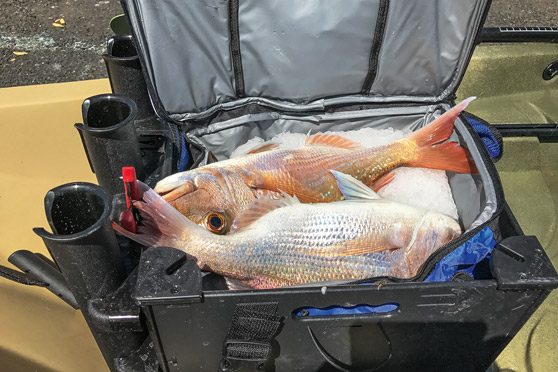 Nu Canoe Frontier kayak review - The Fishing Website