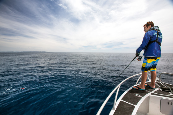 Product test - Sea Falcon Lures - The Fishing Website