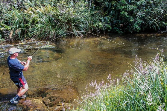 A beginners guide to fly fishing - The Fishing Website