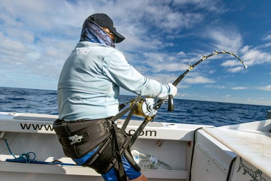 Broadbill Swordfish - The Fishing Website