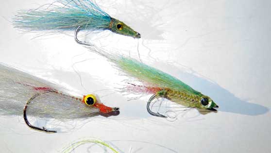 How to Catch Kahawai - The Fishing Website