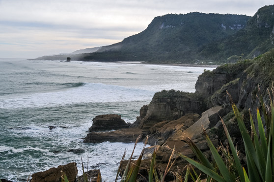 Greymouth fishing profile - The Fishing Website