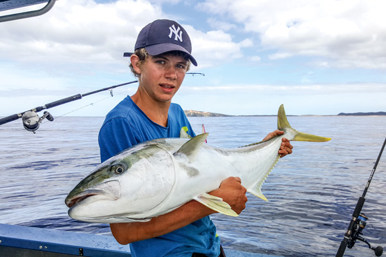 Live baiting for kingfish in the Far North - The Fishing Website