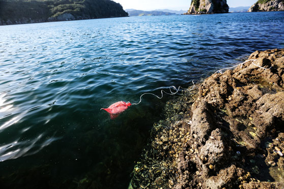 Nick Patrick shares his love of land-based fishing - The Fishing Website