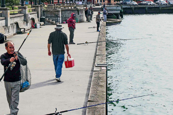 Fishing spots in Dunedin Harbour - The Fishing Website