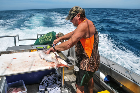 Senator Typhoon MH9400 boat review - The Fishing Website