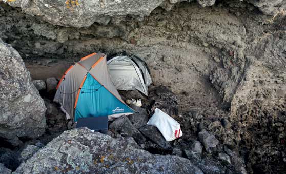 Landbased fishing on the Coromandel - The Fishing Website