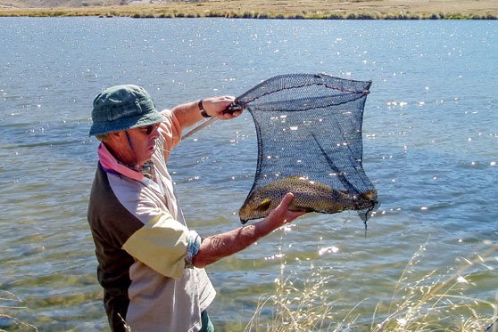 Trout fishing the stonefly nymp - The Fishing Website