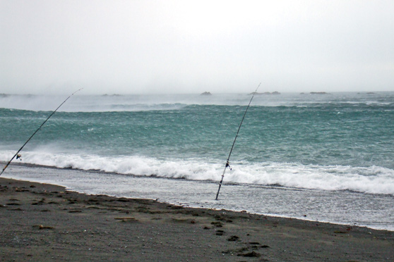 Surfcasting success in November conditions - The Fishing Website