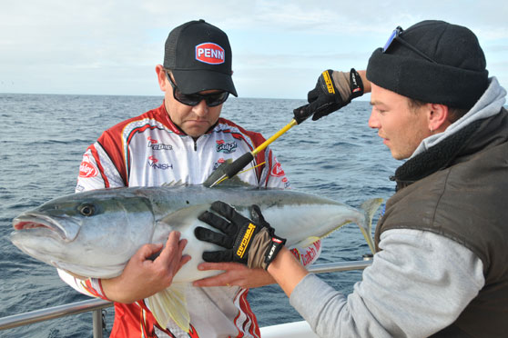 Penn Fishing Tackle Company - The Fishing Website