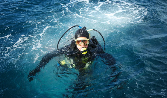 Diving for crayfish - The Fishing Website