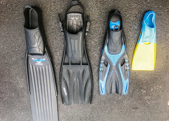 How to choose fins - The Fishing Website