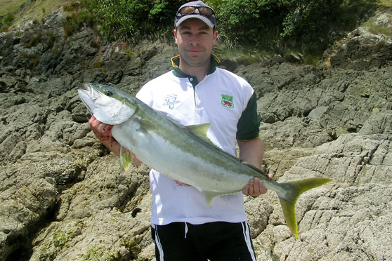 Land based fishing for snapper and kingfish - The Fishing Website