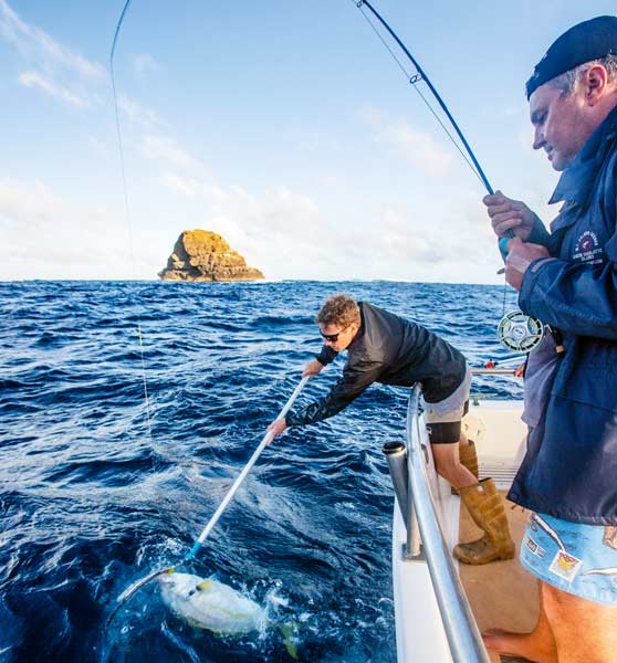 Netting or gaffing your catch (Part 1) - The Fishing Website