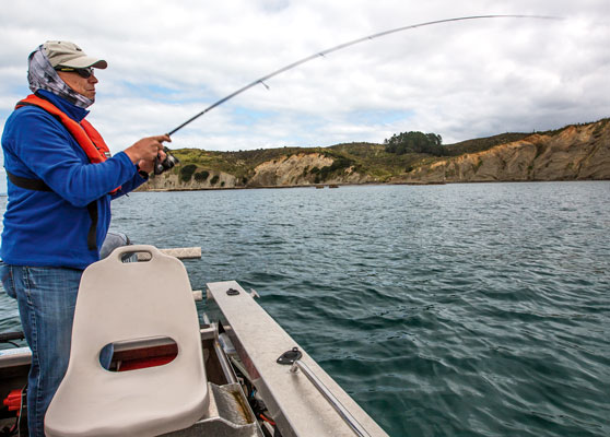 25 soft baiting tips part 2 - The Fishing Website