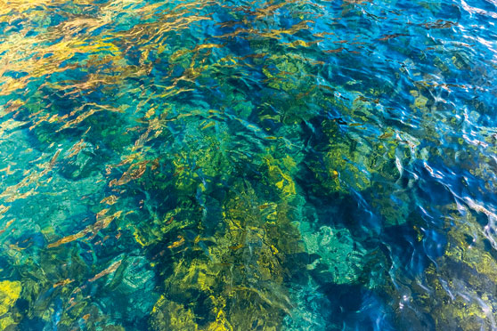 Diving in low visibility - The Fishing Website