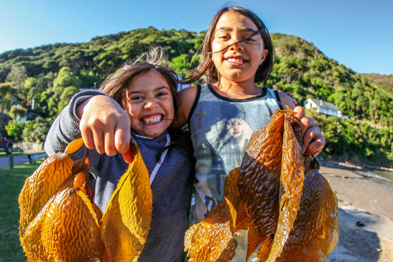 Foraging for food along the coast - The Fishing Website