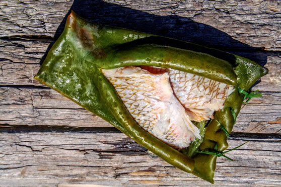 Foraging for food along the coast - The Fishing Website