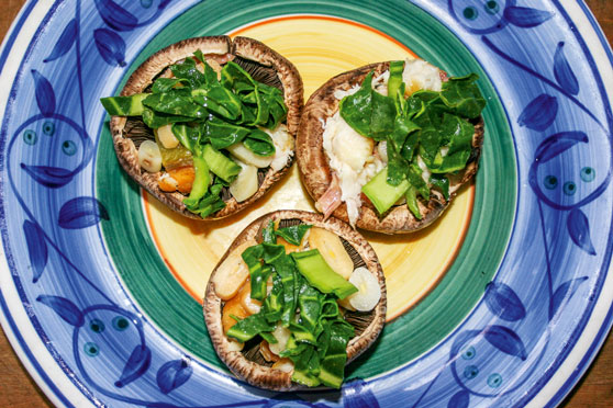 Foraging for food along the coast - The Fishing Website