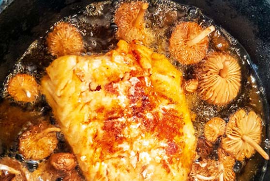 Foraging for food along the coast - The Fishing Website