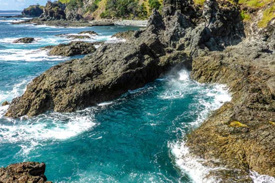 Finding snapper off the rocks - The Fishing Website